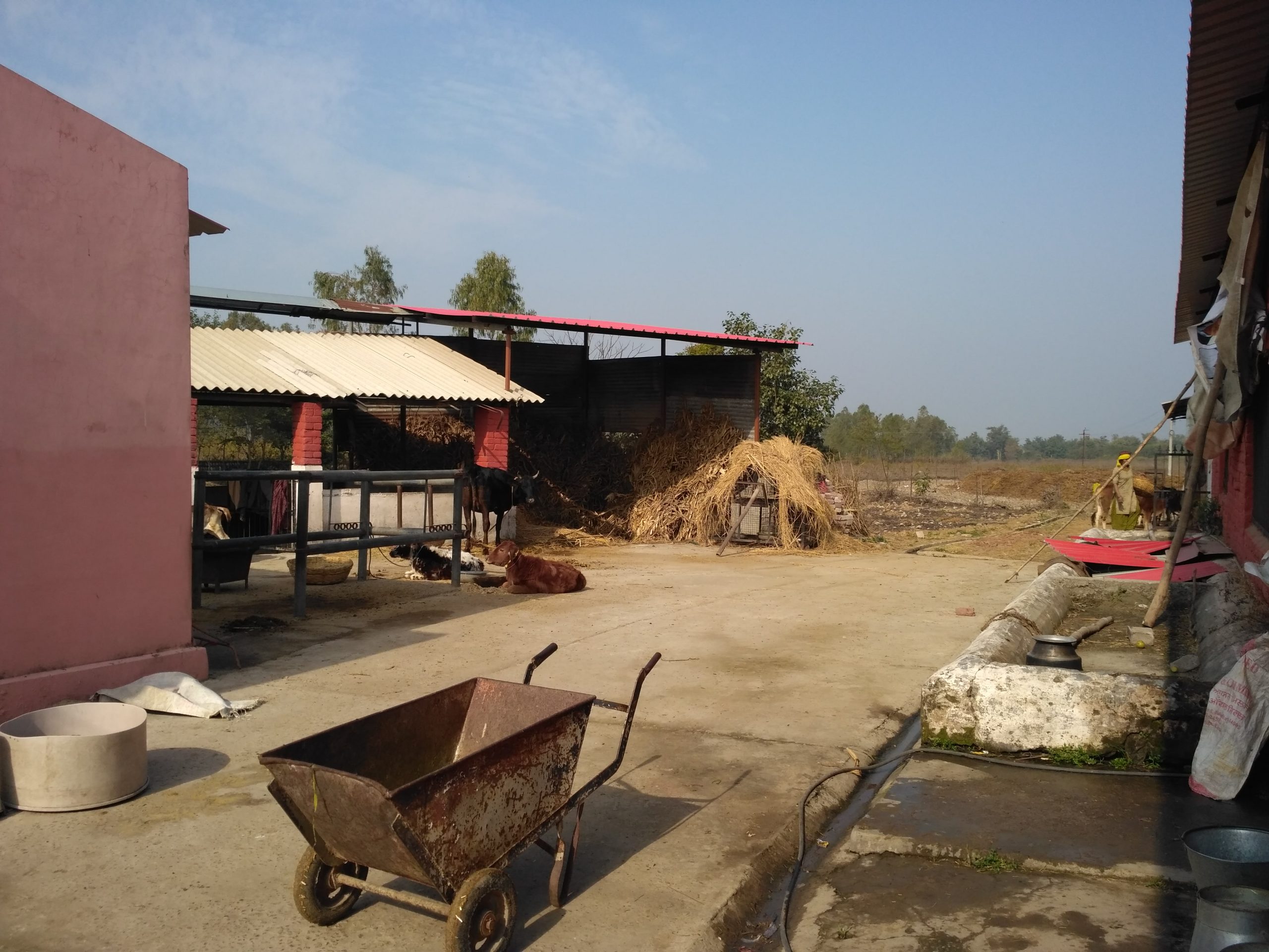 Maa Kamakshi Gau Dham Society - Jai Maa Kamakshi Devi