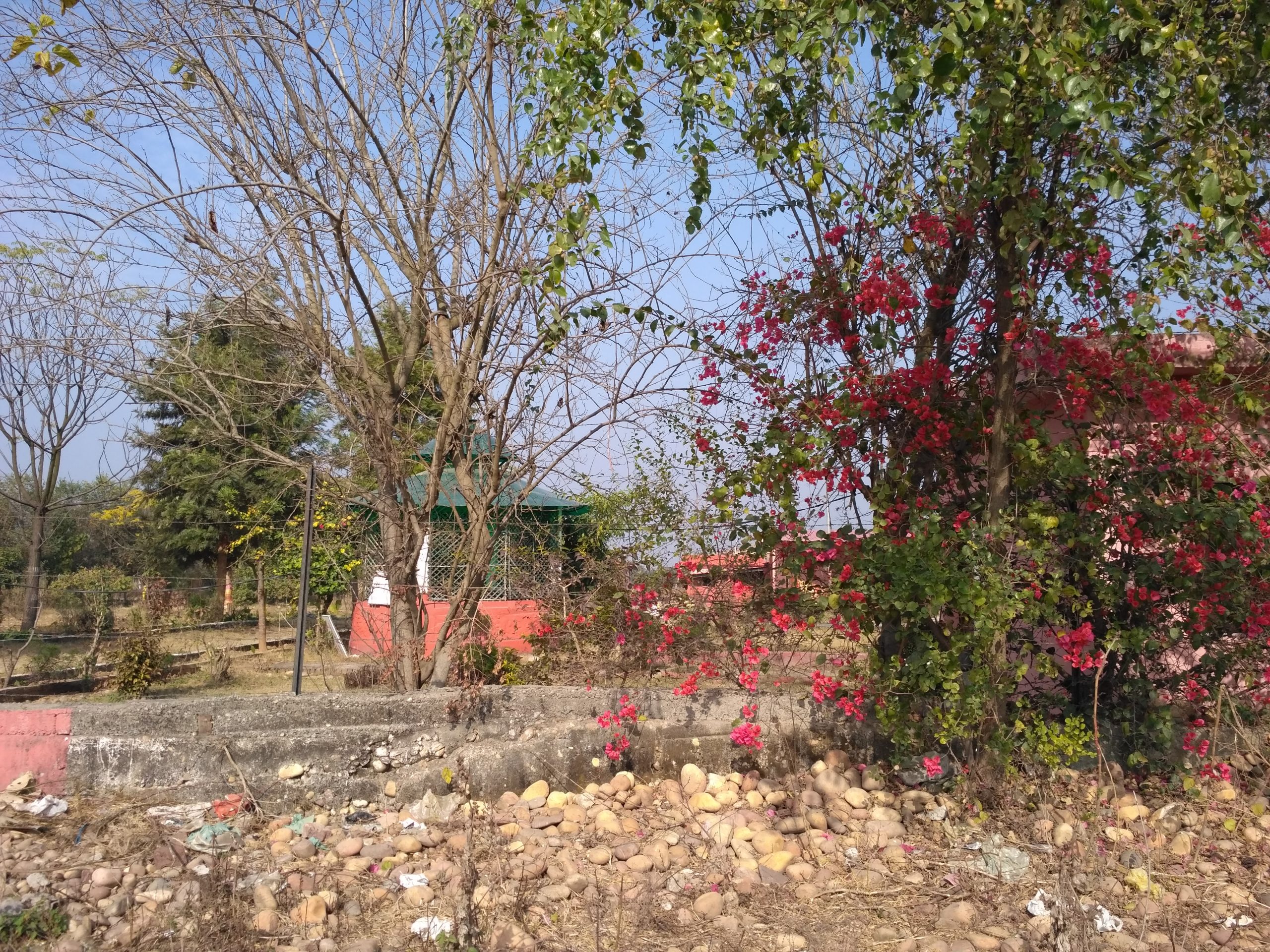 Maa Kamakshi Gau Dham Society - Jai Maa Kamakshi Devi