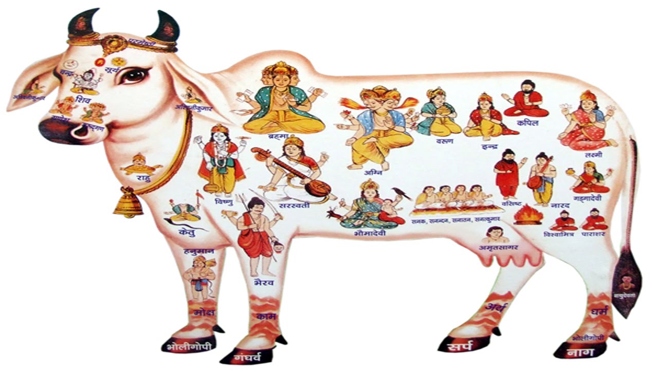 Maa Kamakshi Gau Dham Society - Jai Maa Kamakshi Devi